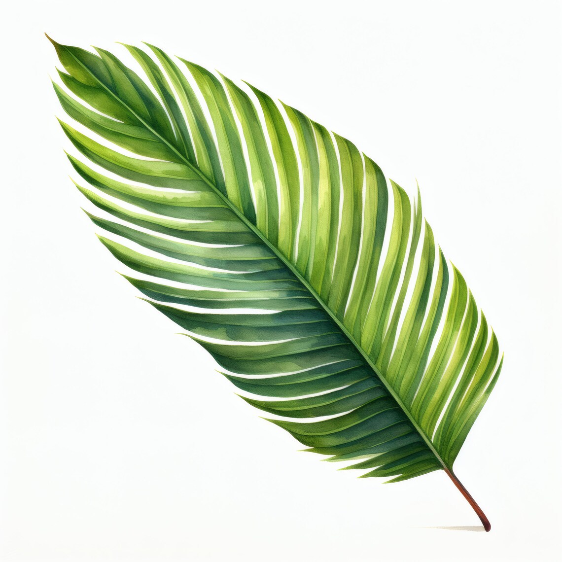 Palm Leaf Clipart, Tropical Green Leaf Images, 10 Watercolor Clip Art ...