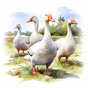 Goose Clipart, Farm Geese Images, 10 Watercolor Clip Art, Printable ...
