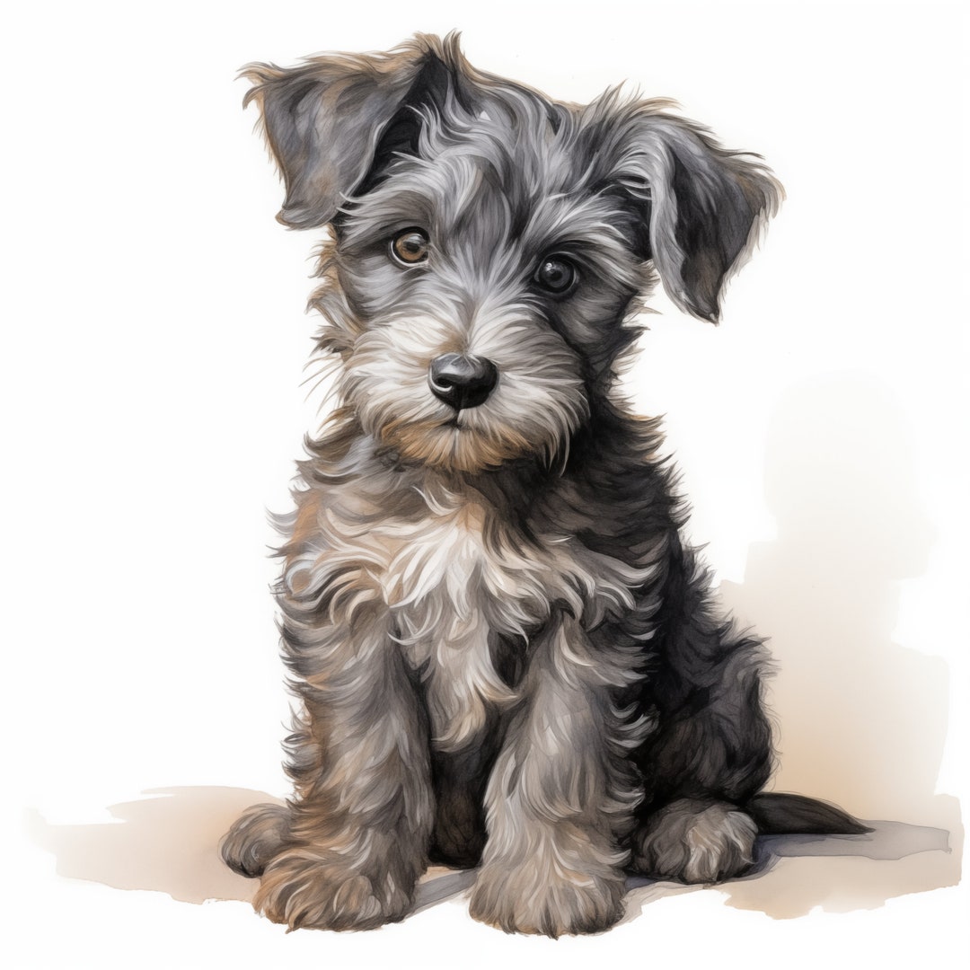 Hungarian Pumi Clipart, Puppy Dog Images, 10 Watercolor Clip Art ...