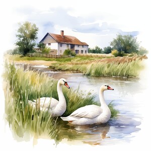 Geese Clipart, Farm Goose Images, 12 Watercolor Clip Art, Printable ...