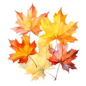 Autumn Leaves Clipart, Fall Leaves Images, 10 Watercolor Clip Art ...