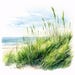 Watercolor Beach Grass Clipart: Coastal Landscape JPG Images ...