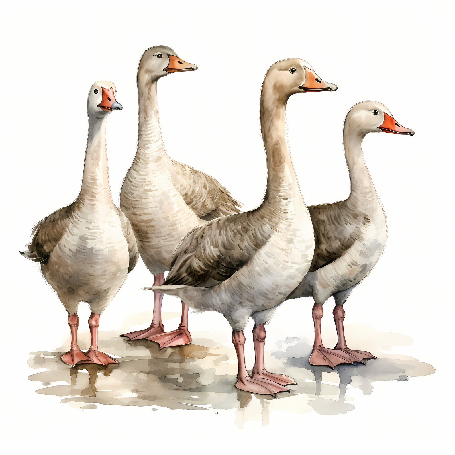 Geese Clipart, Farm Geese Images, 10 Watercolor Clip Art, Printable ...