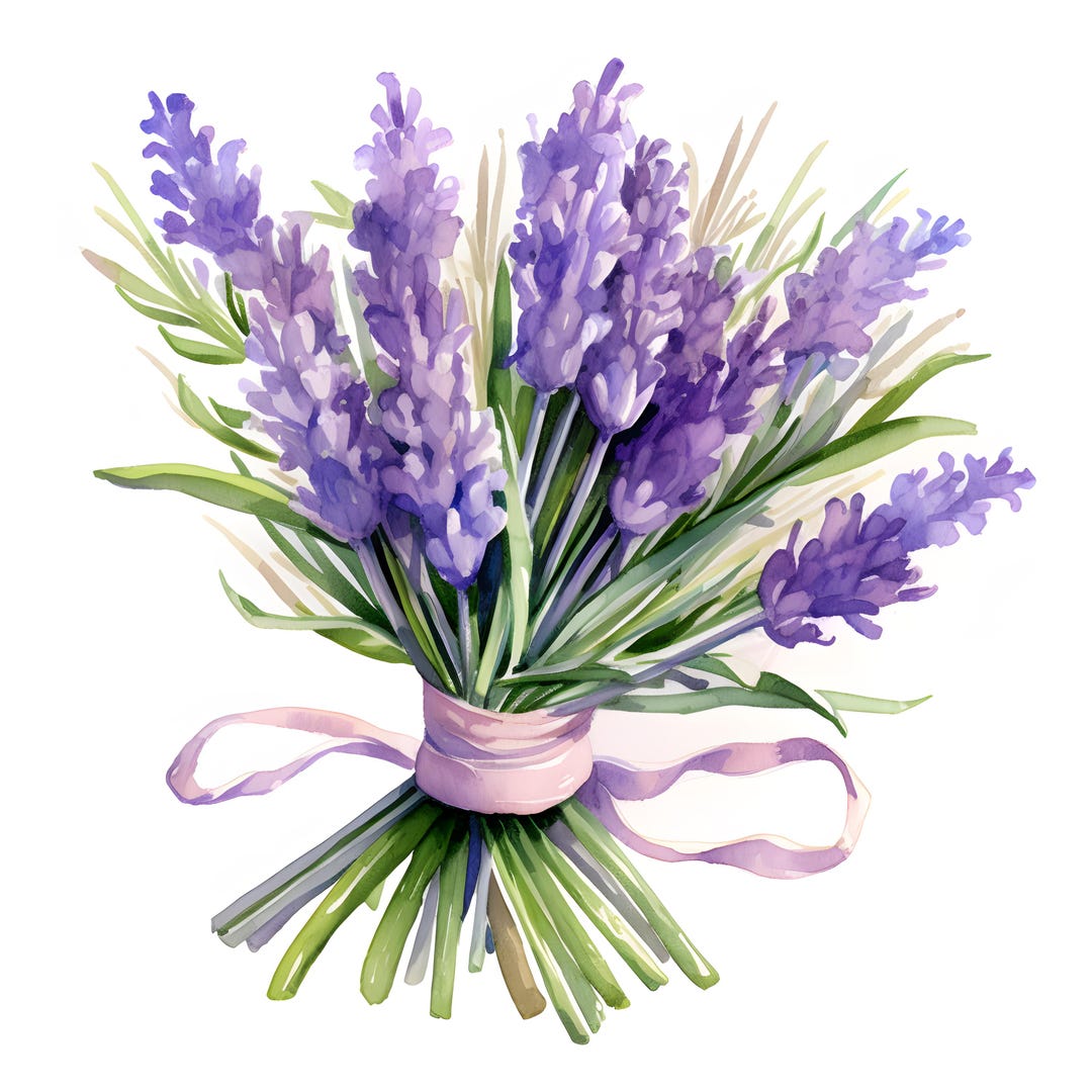 Lavender Bouquet Clipart, Lavender Flowers Images, 10 Watercolor Clip ...