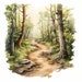 Forest Path Clipart, Path in Woods Images, 10 Watercolor Clip Art ...
