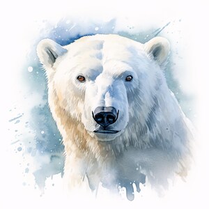 Polar Bear Clipart, Arctic Animal Images, 10 Watercolor Clip Art ...