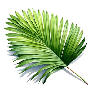 Palm Beach Leaf Clipart, Tropical Leaf Images, 10 Watercolor Clip Art ...