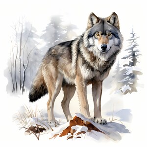 Winter Wolf Clipart, Wolves in Winter Images, 10 Watercolor Clip Art ...