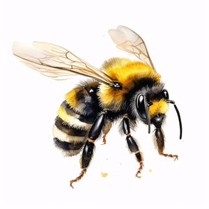 Bumblebee Clipart, Bumble Bee Images, 10 Watercolor Clip Art, Printable ...