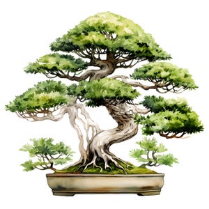 Bonsai Clipart, Botanical Trees Images, 10 Watercolor Clip Art ...
