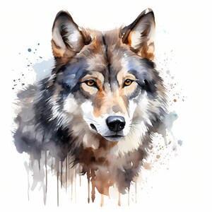 Winter Wolf Clipart, Wolves in Winter Images, 10 Watercolor Clip Art ...