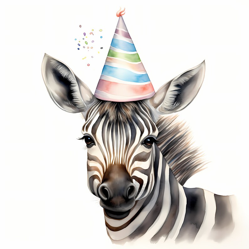 Zebra With Party Hat, Funny Zebra Watercolor Clipart Set With 10 JPG ...