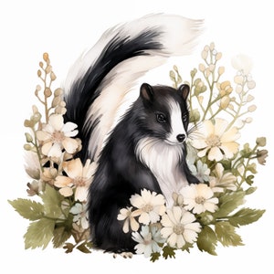 10 Skunk With Flowers Clipart, Skunk JPG, Watercolor Clipart, High ...