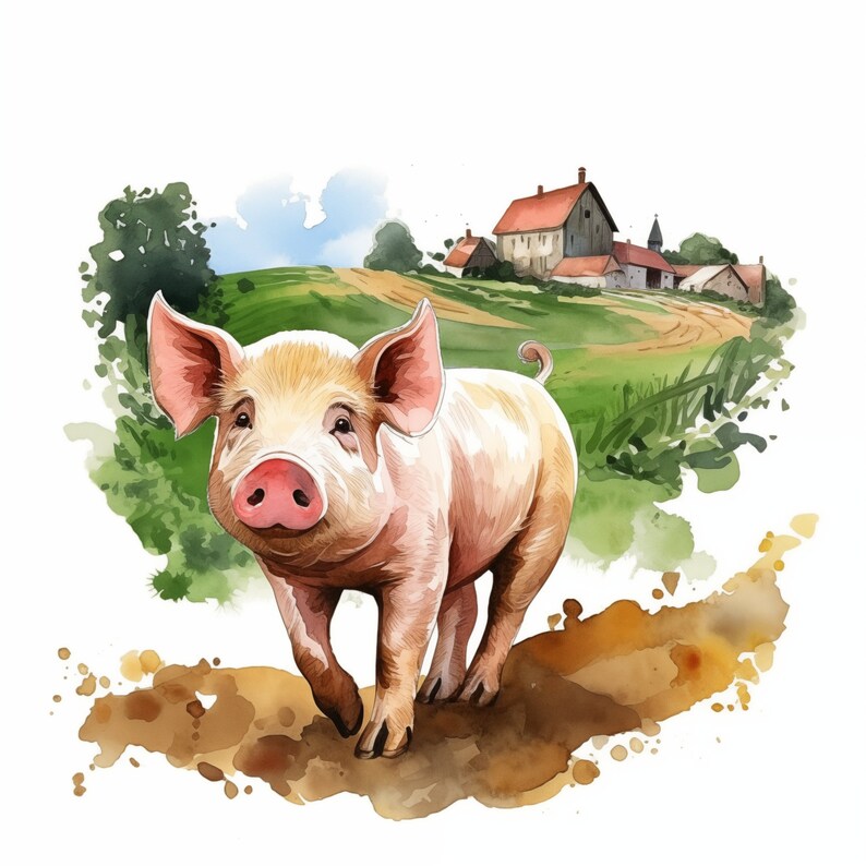 12 Farm Pig Clipart, Pig Clipart, Watercolor Clipart, High Quality Jpgs ...