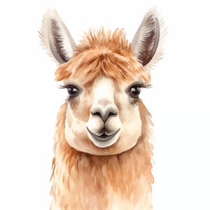 Watercolor Llama Clipart: Printable JPG Images, Commercial Use (digital ...