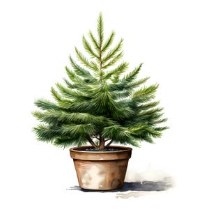 Potted Christmas Tree Clipart, Tree in Pot Images, 10 Watercolor Clip ...
