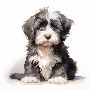 Lowchen Clipart, Little Lion Dog Images, 10 Watercolor Clip Art ...