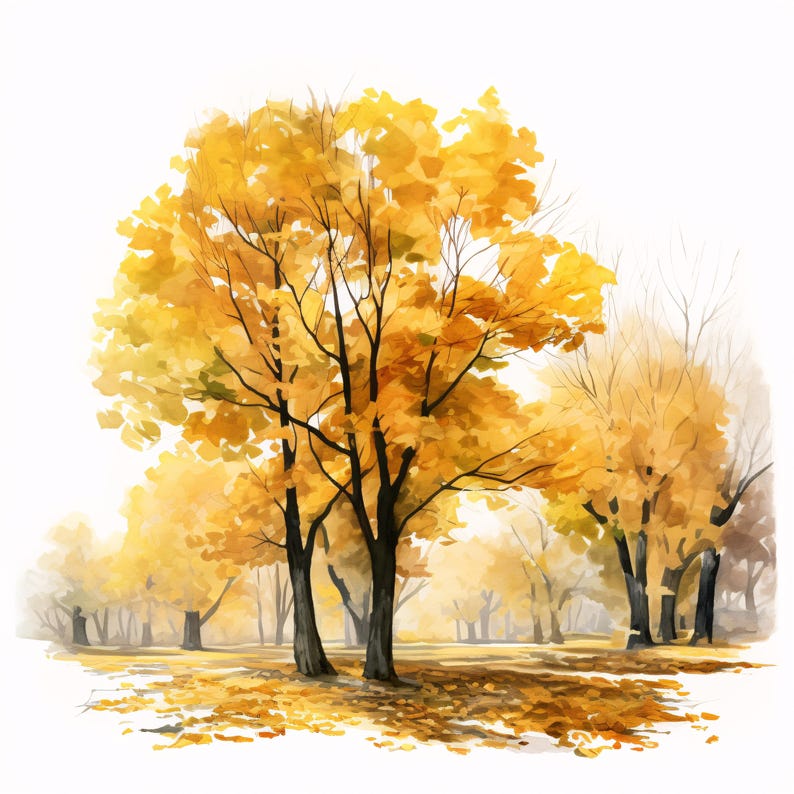 Autumn Trees Clipart, Autumn Trees Images, 10 Watercolor Clip Art ...