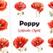 Red Poppy Clipart, Poppy Flowers Images, 10 Watercolor Clip Art ...