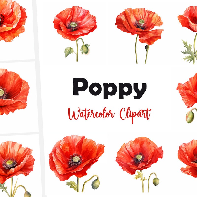 Poppies Clip Art - Etsy
