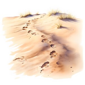 Sand Footprints Clipart, Seaside Walks Images, 10 Watercolor Clip Art ...