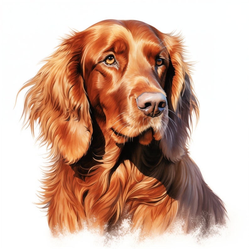 Irish Setter Clipart, Setter Dog Images, 10 Watercolor Clip Art ...