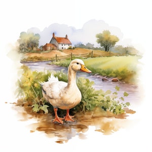 Duck Clipart, Farm Duck Images, 15 Watercolor Clip Art, Printable Jpgs ...