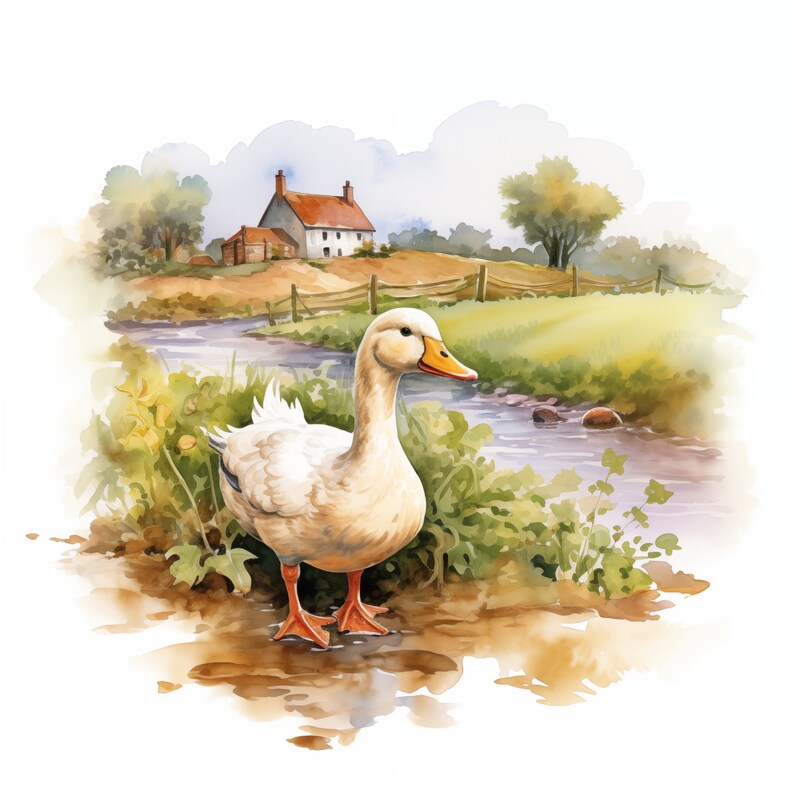 Duck Clipart, Farm Duck Images, 15 Watercolor Clip Art, Printable Jpgs ...