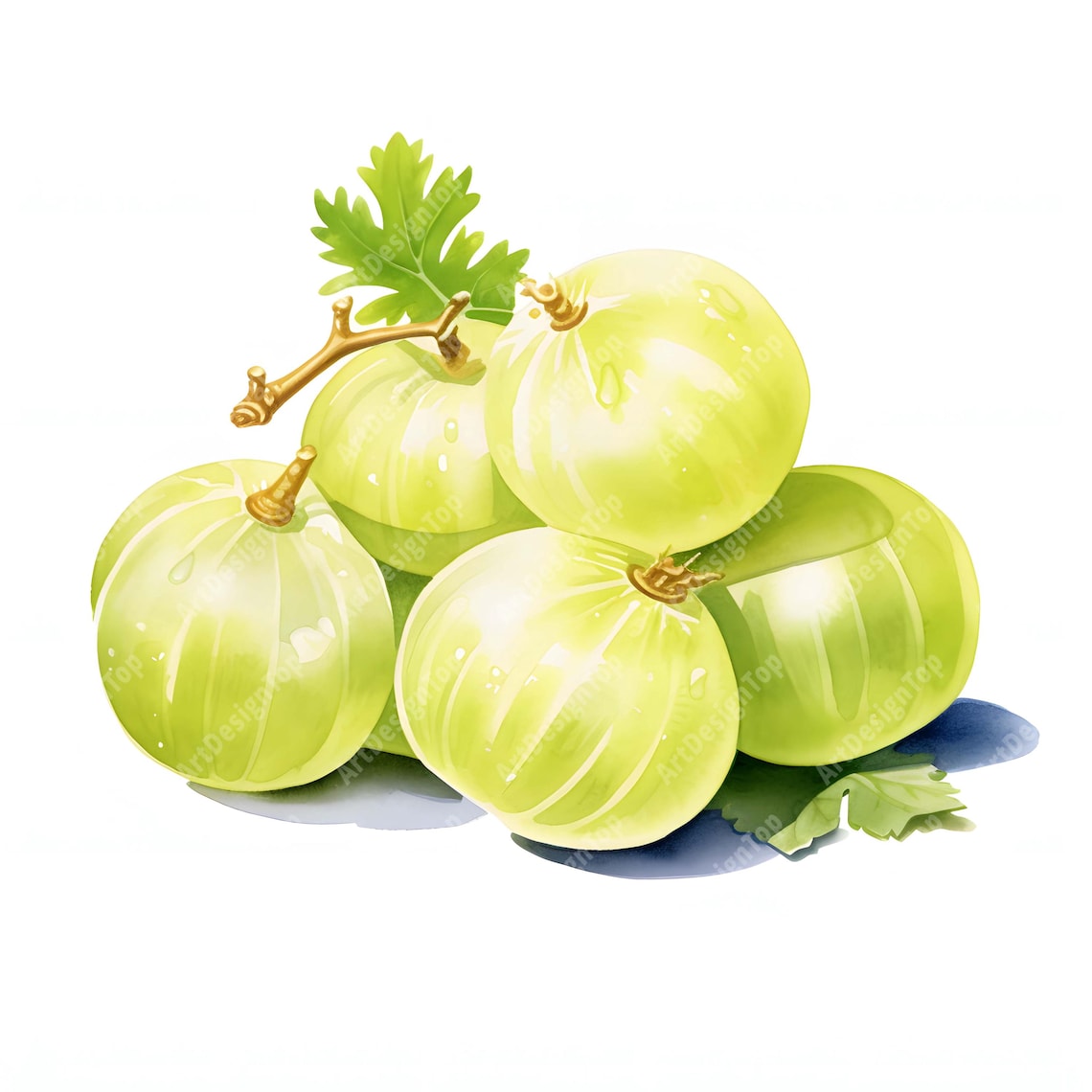 Gooseberry Clipart, Green Gooseberry Berries Images, 10 Watercolor Clip ...