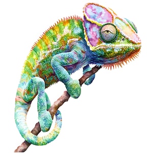Chameleon Clipart, Tropical Reptile Images, 10 Watercolor Clip Art ...