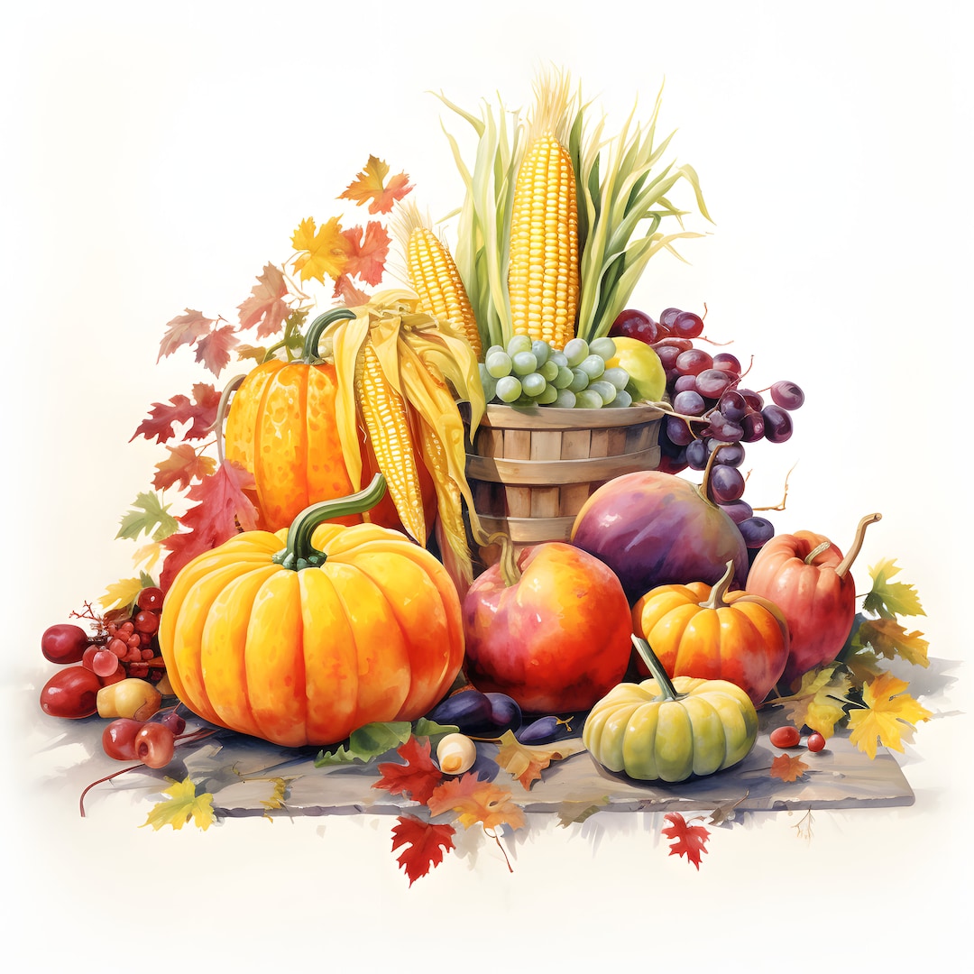 Autumn Harvest Clipart: Watercolor Fall Vegetables (jpgs, Commercial ...