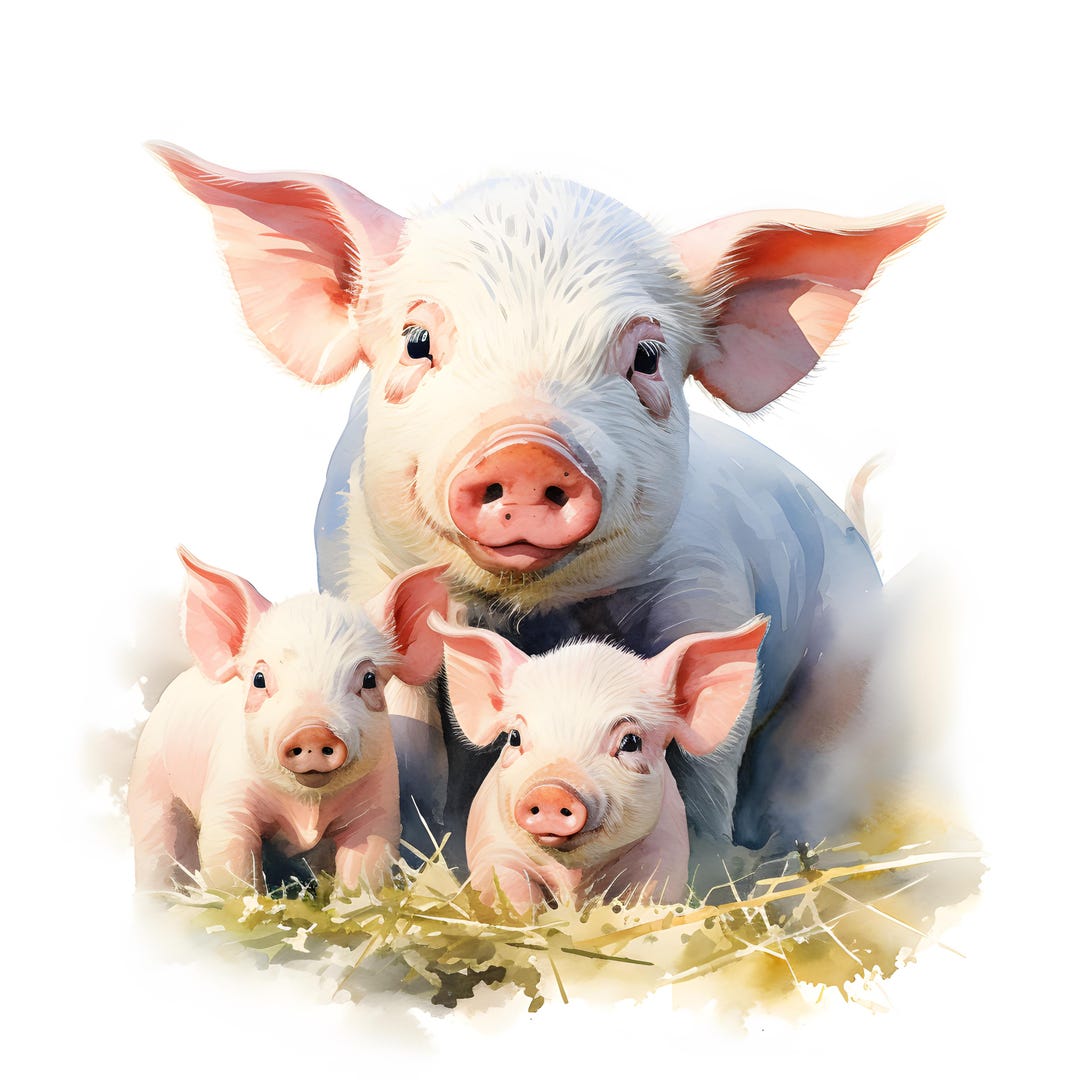 Piglet Family Watercolor Clipart: Printable Farm Animal Art (jpgs) - Etsy