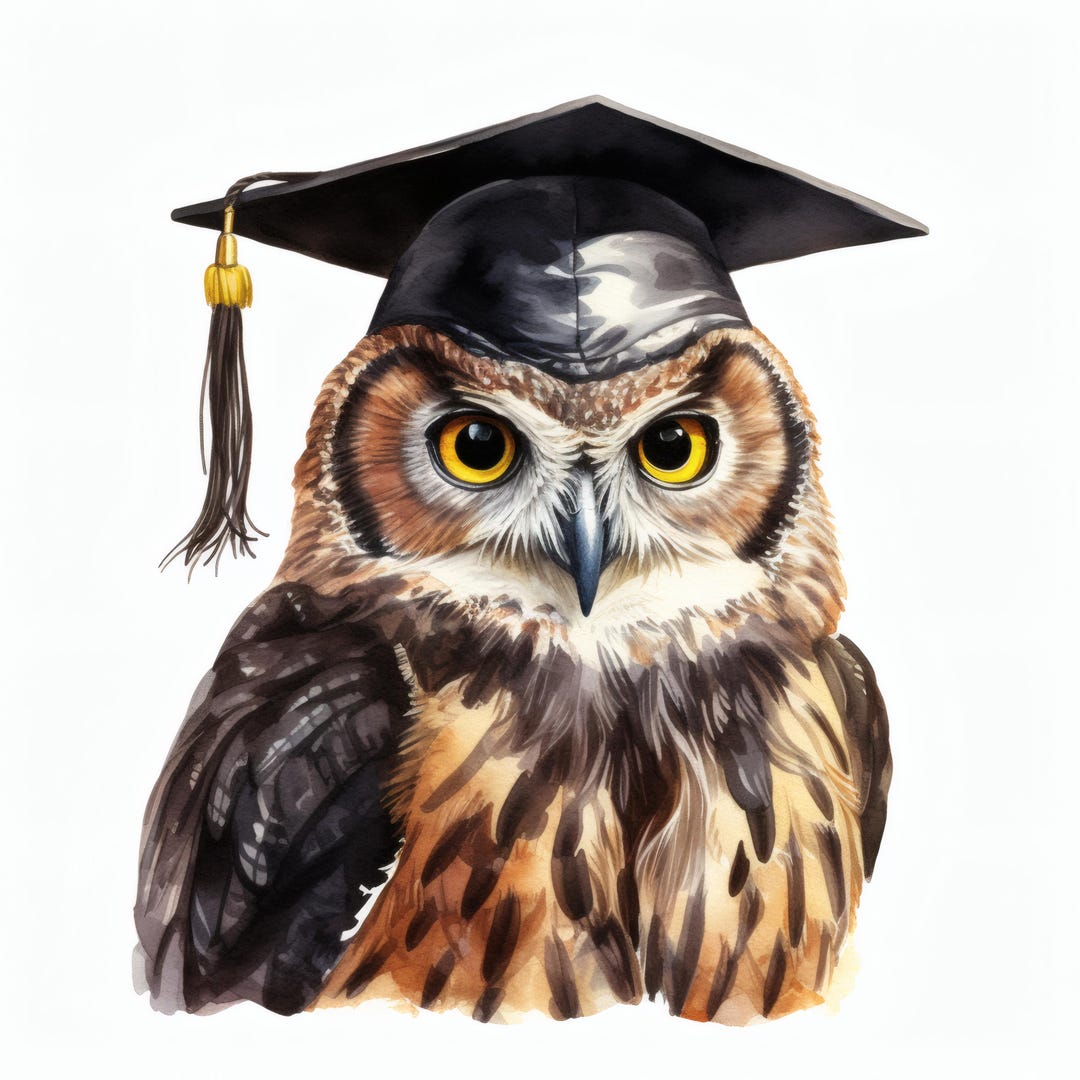 Owl Graduation Clipart, Academic Bird Images, 10 Watercolor Clip Art ...