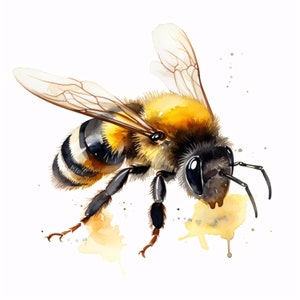 Bumblebee Clipart, Bumble Bee Images, 10 Watercolor Clip Art, Printable ...