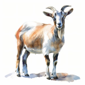 Goat Clipart, Farmyard Goats Images, 10 Watercolor Clip Art, Printable ...