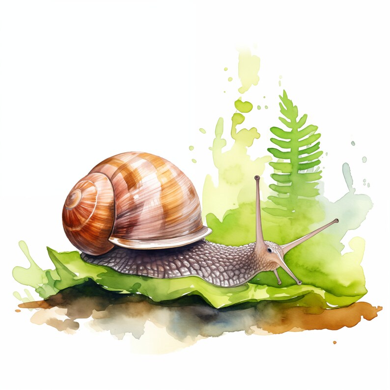 Snail Clipart, Garden Snails Images, 10 Watercolor Clip Art, Printable ...