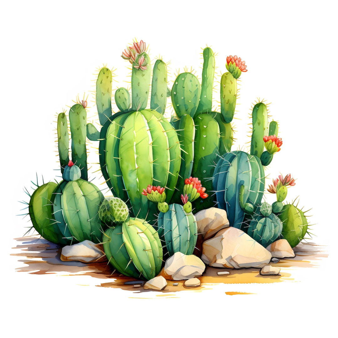 Cacti Clipart, Cactus Images, 10 Watercolor Clip Art, Printable Jpgs ...
