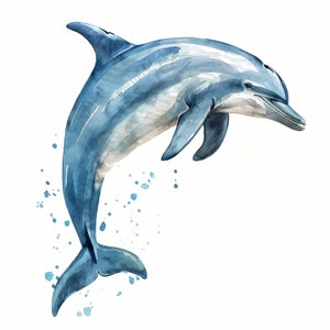 Dolphin Clipart, Tropical Dolphins Images, 10 Watercolor Clip Art ...