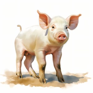Farmyard Pig Clipart, Farm Pig Images, 10 Watercolor Clip Art ...
