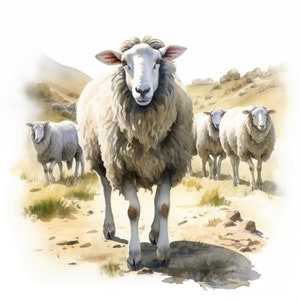 Sheep Clipart, Sheep on Farm Images, 10 Watercolor Clip Art, Printable ...