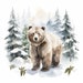 13 Brown Bear, Bear in Winter Clipart, Watercolor Clipart, High Quality ...