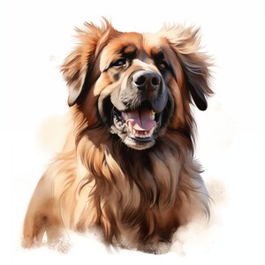 Leonberger Clipart, Leonberger Dog Images, 10 Watercolor Clip Art ...