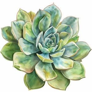 Succulent Clipart, Cactus Succulents Images, 10 Watercolor Clip Art ...