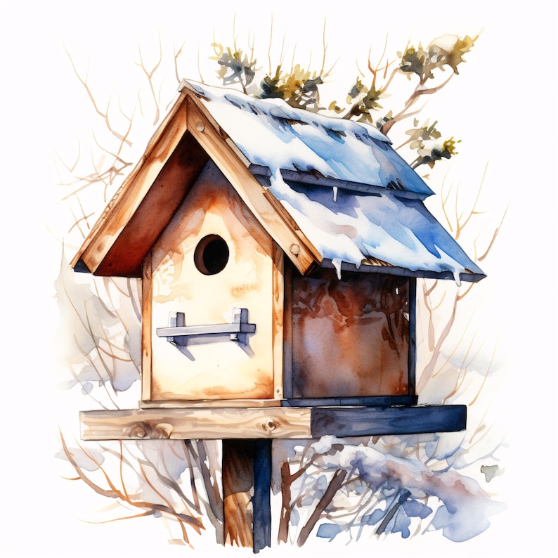 Winter Birdhouse Clipart, Snow Bird Images, 10 Watercolor Clip Art ...
