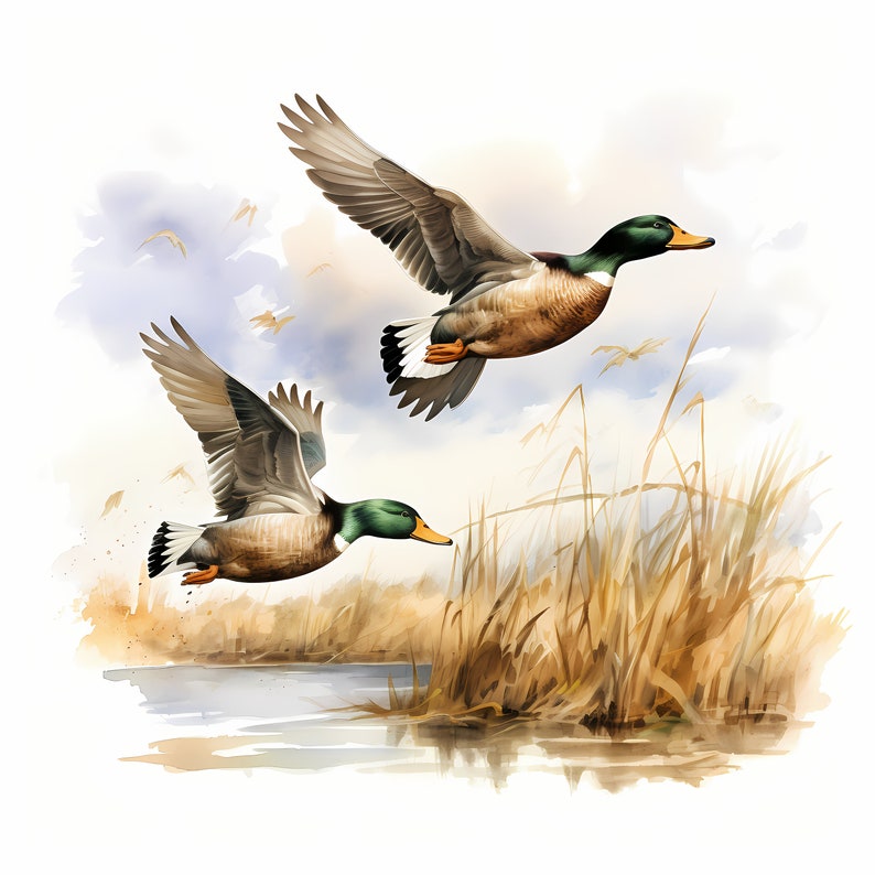 Flying Ducks Clipart, Farm Ducks Images, 10 Watercolor Clip Art ...