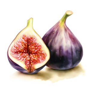 Fig Fruit Clipart, Fig Images, 10 Watercolor Clip Art, Printable Jpgs ...