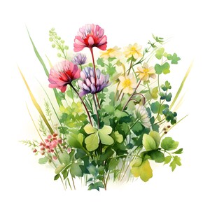 Clover Flowers Clipart, Clover Bouquet Images, 10 Watercolor Clip Art ...