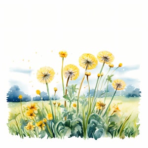Watercolor Dandelion Clipart: Floral JPG Images (commercial Use) - Etsy