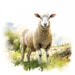 Sheep Clipart, Sheep on Farm Images, 10 Watercolor Clip Art, Printable ...