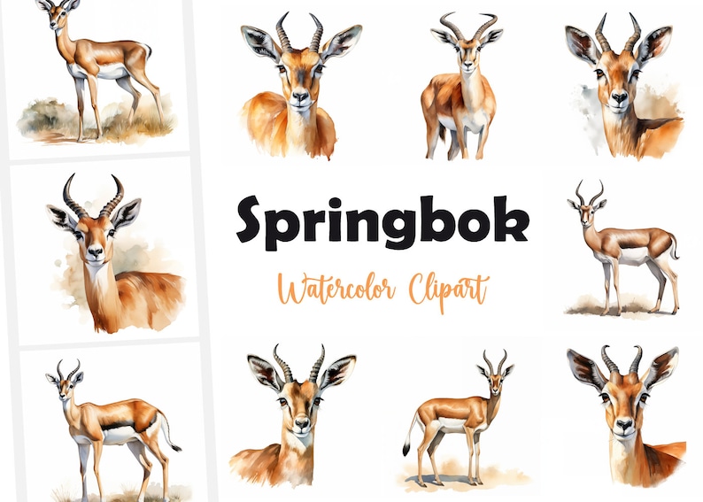 Watercolor Springbok Clipart: Antelope JPG Images (commercial Use) - Etsy